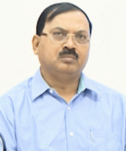 State Gets More Mangrove | Tathya